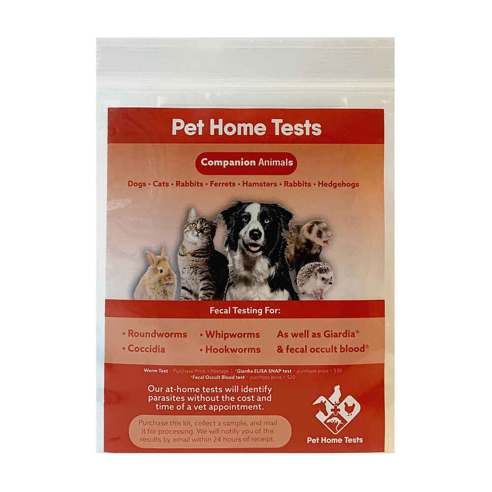 Fecal Worm Test@Home Kit 1 ct