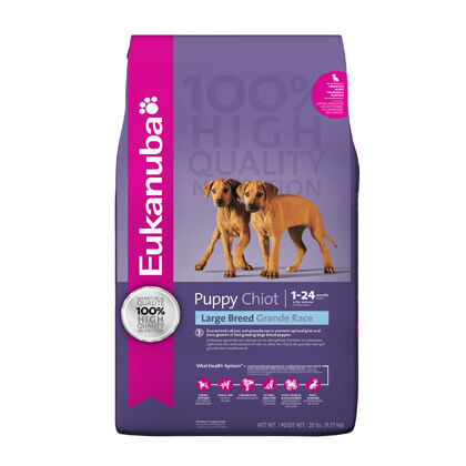 Eukanuba Large Breed Puppy Dry Dog Food