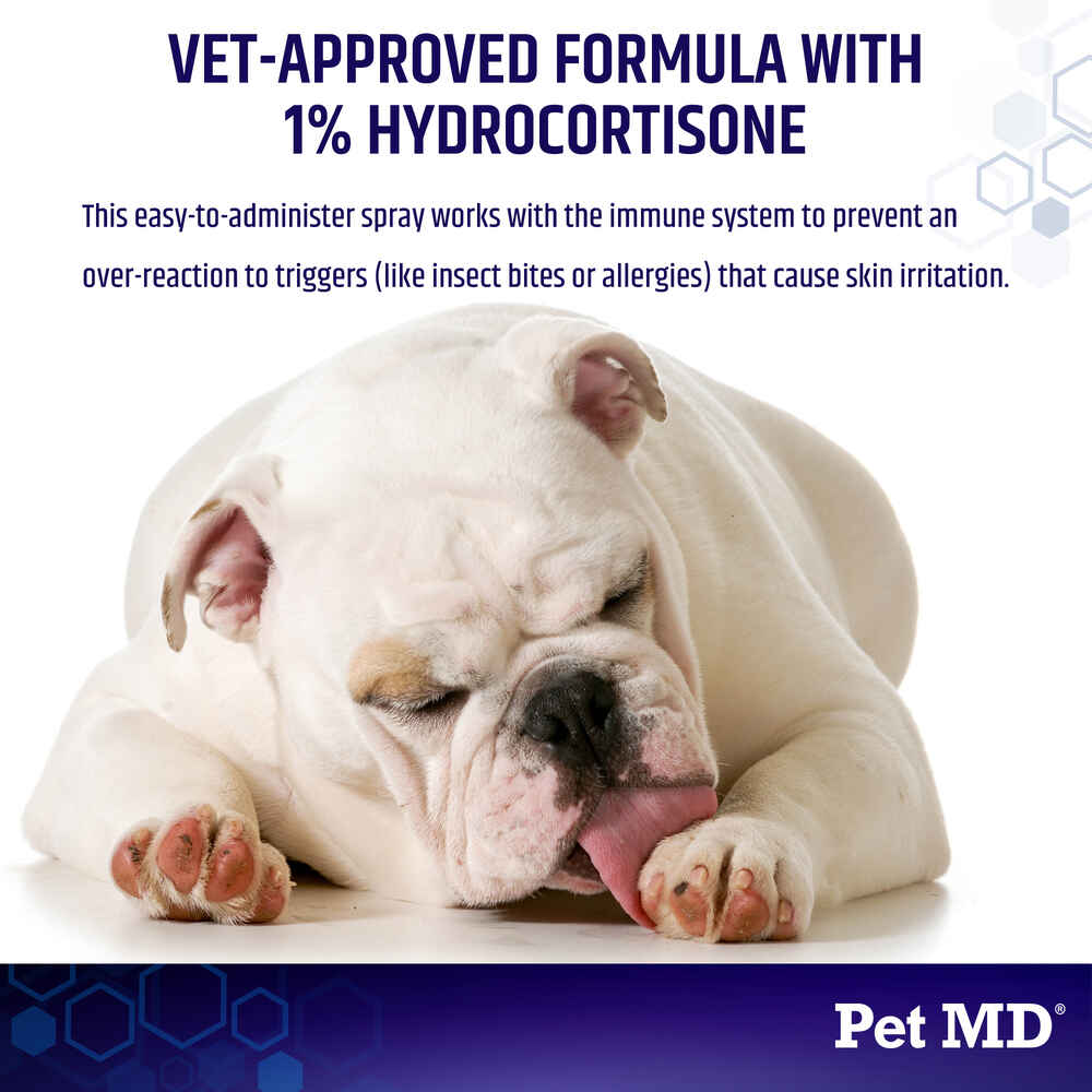 Can Dogs Lick Hydrocortisone Spray