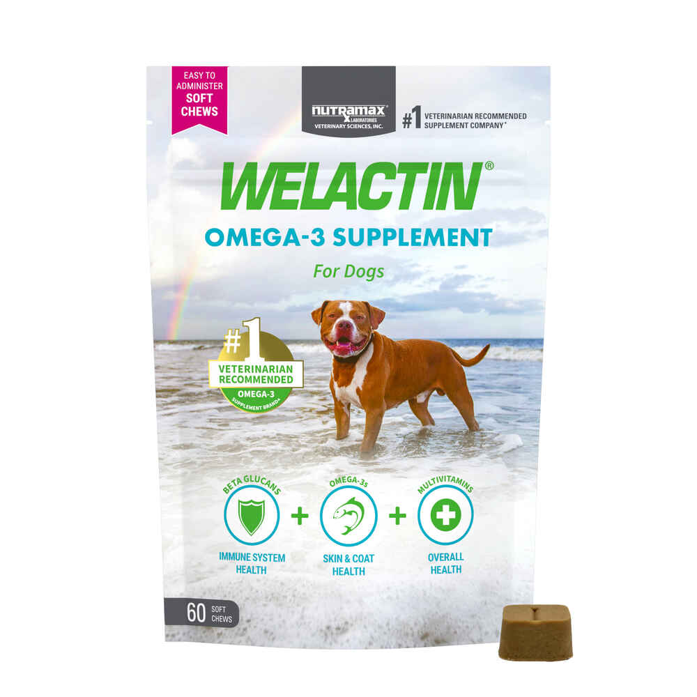 Nutramax Welactin® Omega-3 Skin & Coat Soft Chew Supplement for Dogs ...