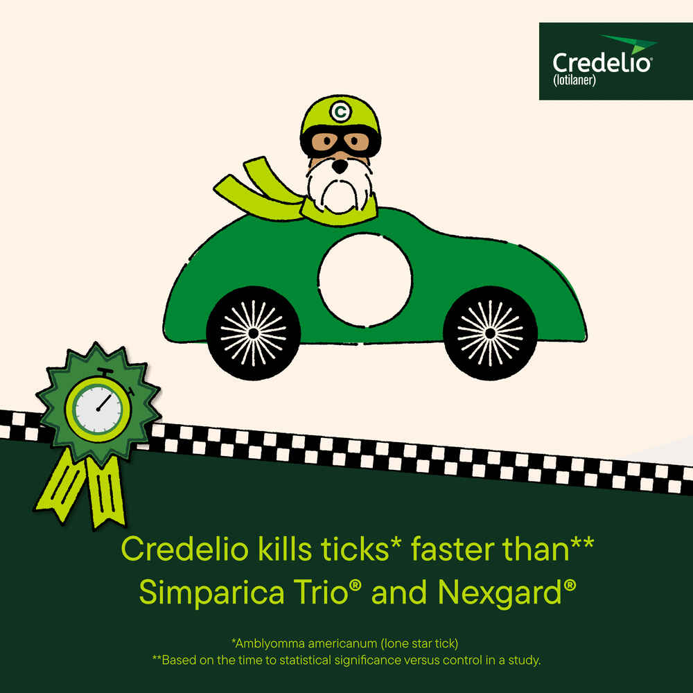 Credelio Chewable Tablet 50.1-100 lbs 6 pk