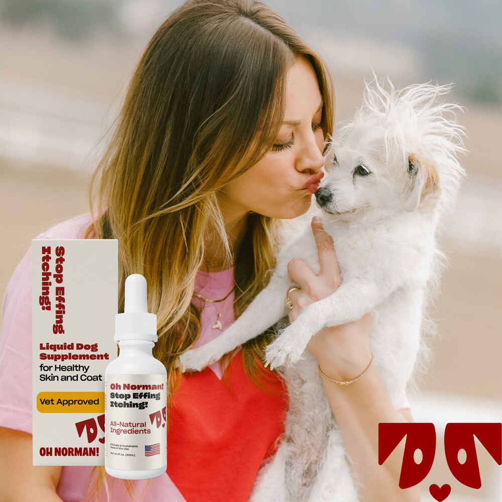 OH NORMAN! Stop Effing Itching! Liquid Skin & Coat Supplement for Dogs ...
