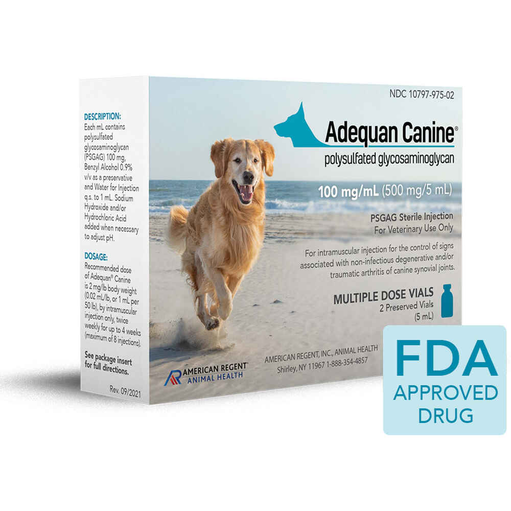 What Are Intramuscular Vaccines For Dogs