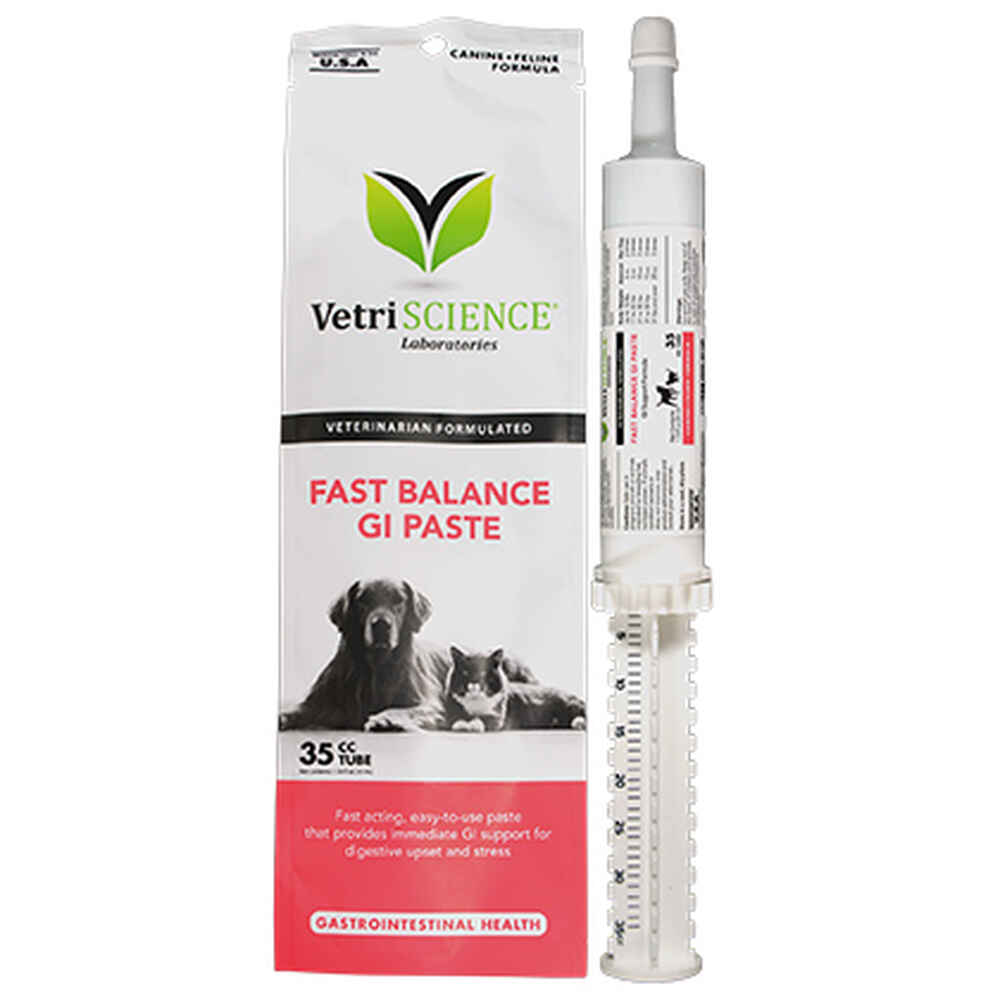 Fast Balance GI Paste 35 cc Tube