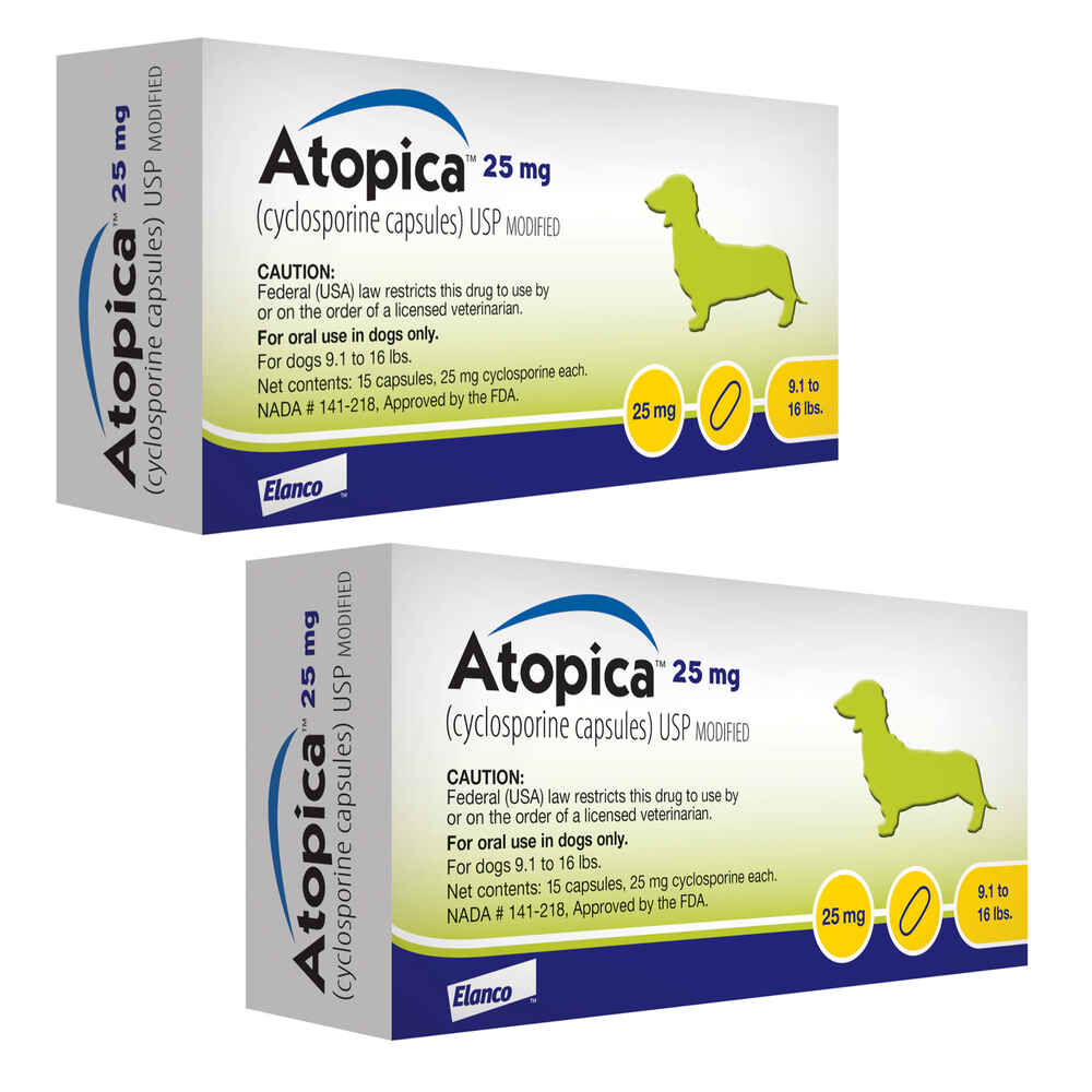 Can Ranitidine Kill Dogs