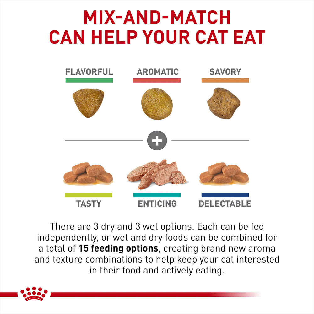 Royal Canin Veterinary Diet Feline Renal Support Cat Food Starter Kit ...