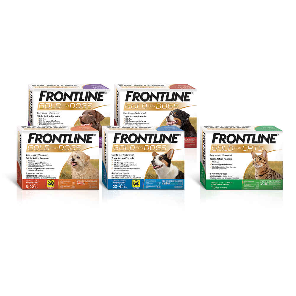 Why Cant Cats Use Dog Frontline