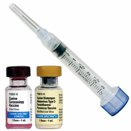 Canine Spectra 6 Puppy Single Dose Vaccine