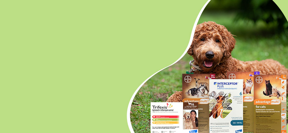 Protect & Save on Heartworm