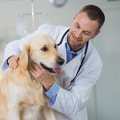 Instant confirmations!