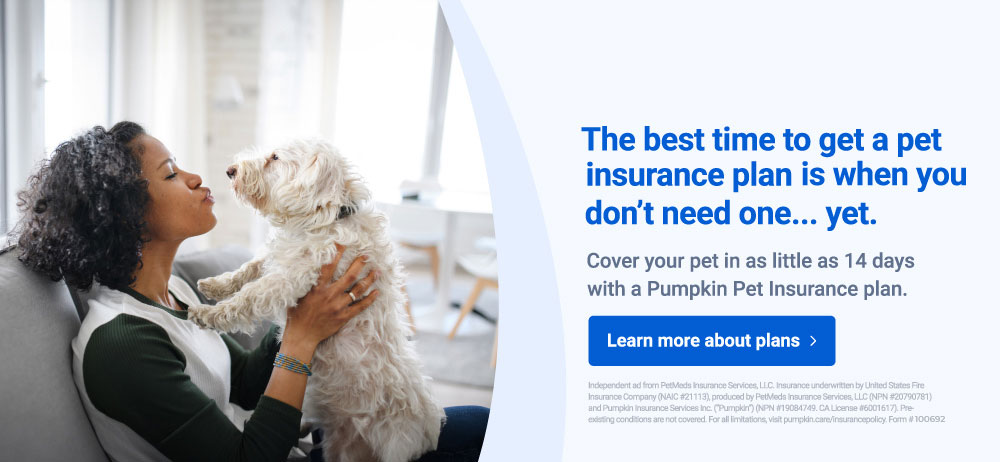 We partnered with Pumpkin to help you afford the best care for your fur ...