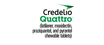 Credelio Quattro