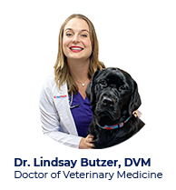 Lindsay Butzer